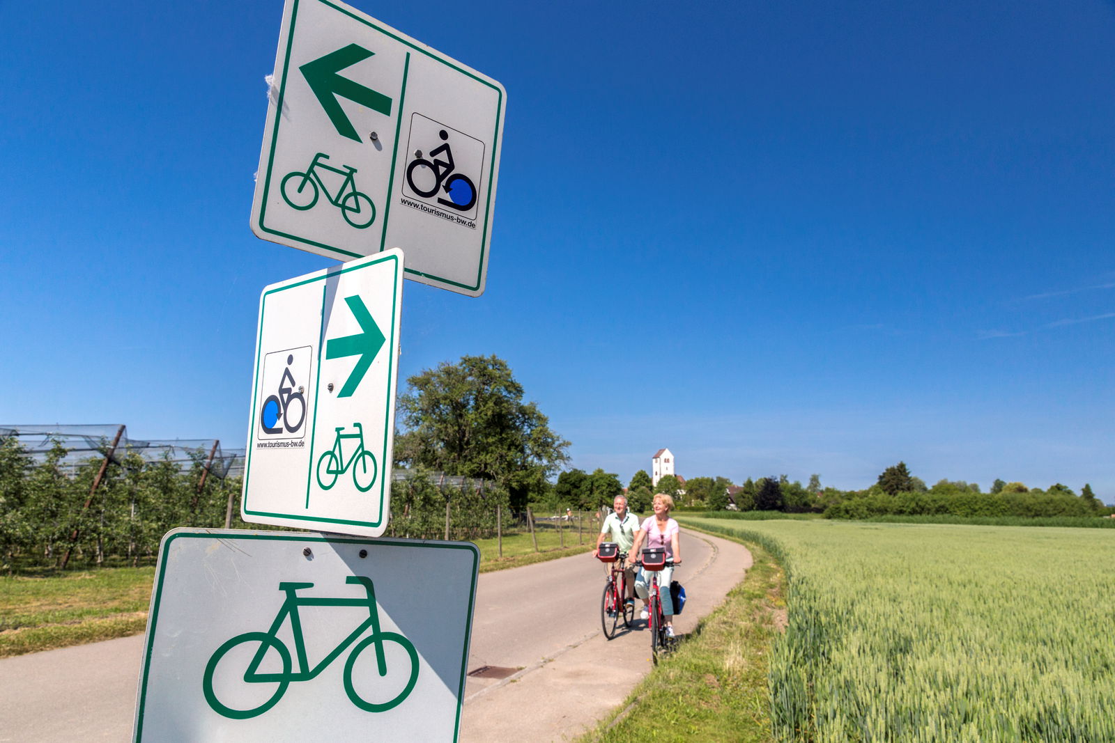 40 ans de la piste cyclable du lac de Constance | La veloroute du lac ...