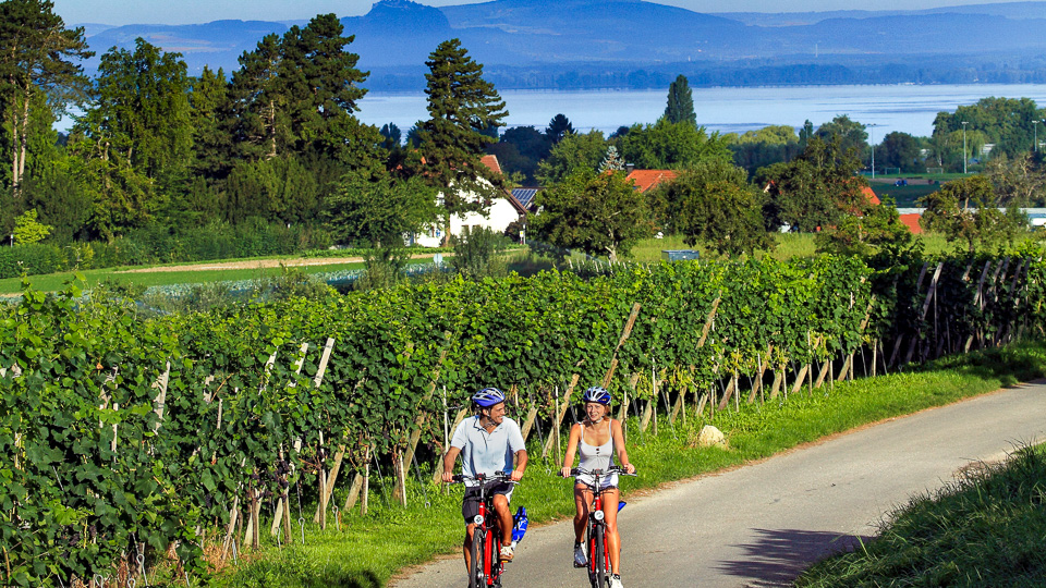 Séjour actif en vélo au lac de Constance | La veloroute du lac de Constance